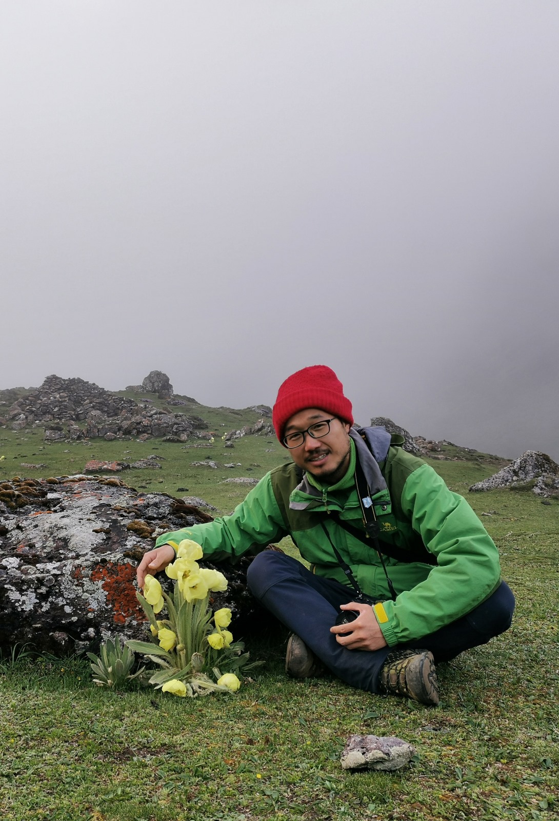 Chittka Lab - Matilda